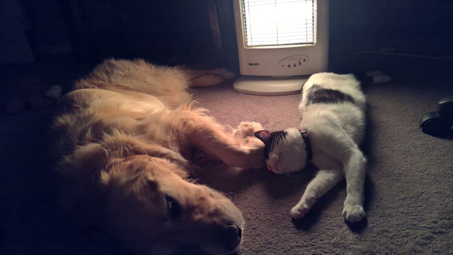 The Finer Things in Life… – Bryan Clements